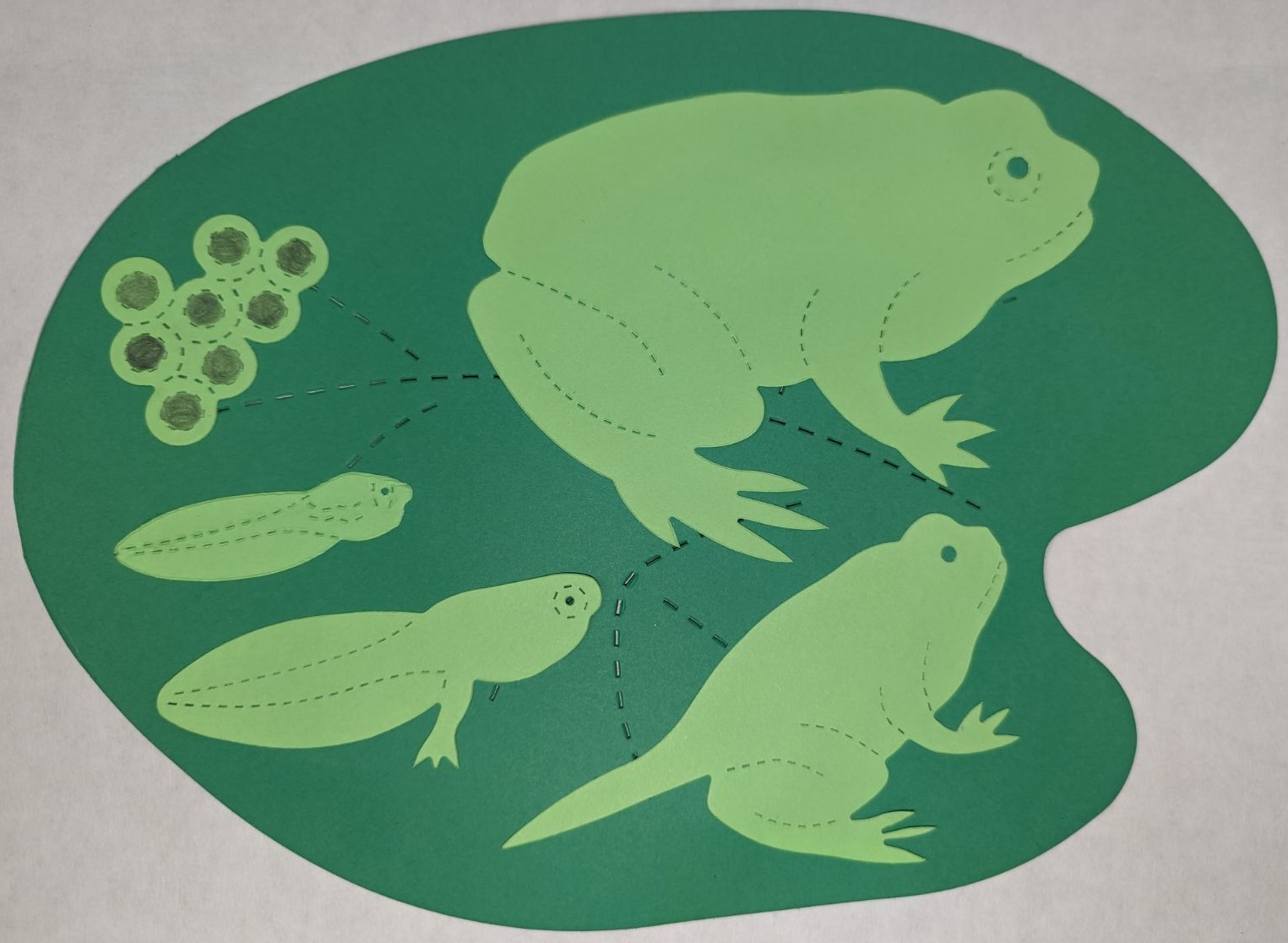 Pre-Made Kits – Instructional Support Services